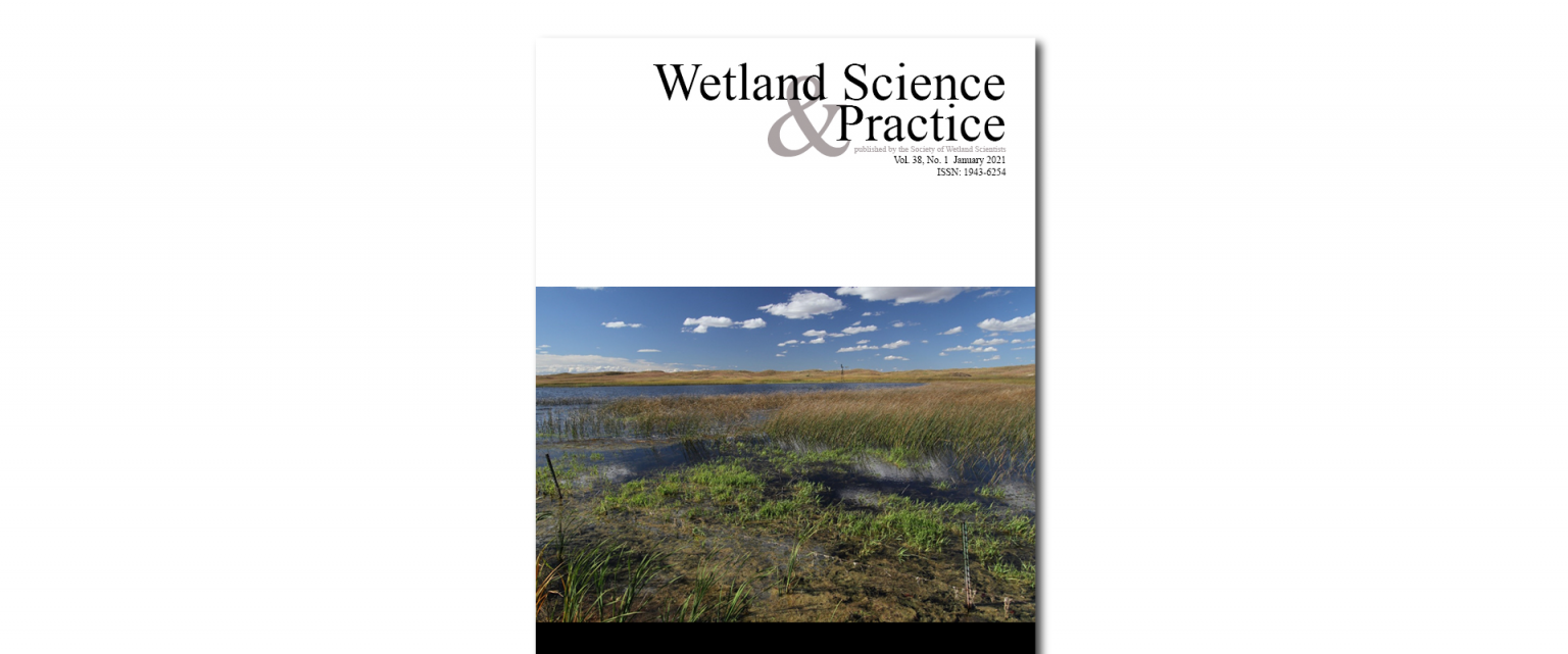 SWS Scientific Publication, Wetland Science and Practice – Kristin McGuine